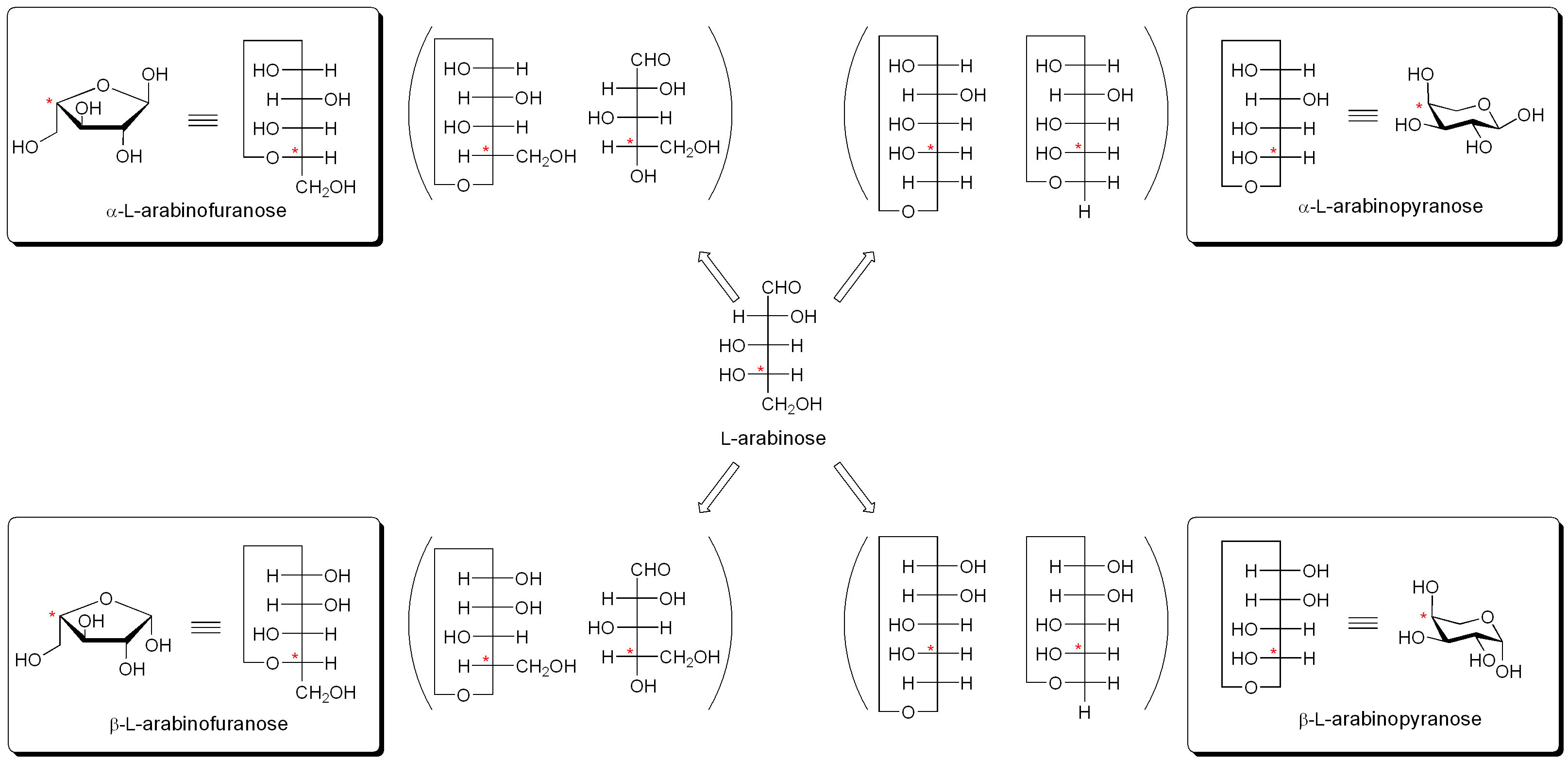 File:Alpha&beta arabinose.png - CAZypedia