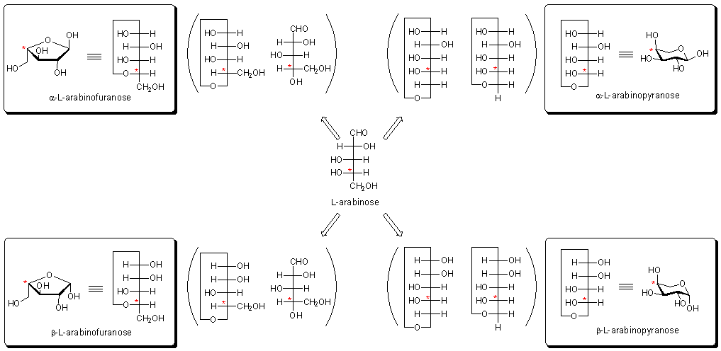 File:Alpha&beta arabinose.png - CAZypedia