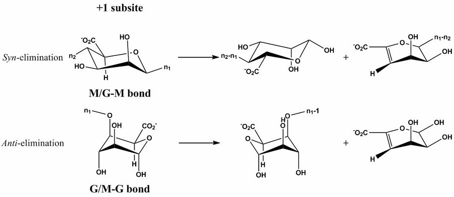 Polysaccharide Lyase Family 6 - CAZypedia