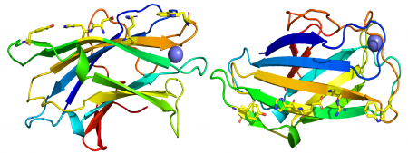 Carbohydrate Binding Module Family 3 - CAZypedia