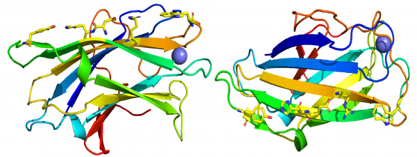 Carbohydrate Binding Module Family 3 - CAZypedia