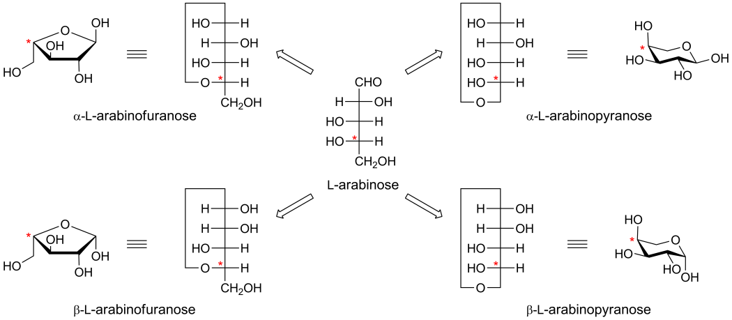 Anomeric centre (alpha and beta) - CAZypedia