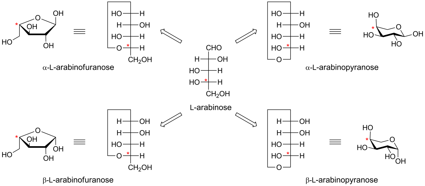 Anomeric centre (alpha and beta) - CAZypedia
