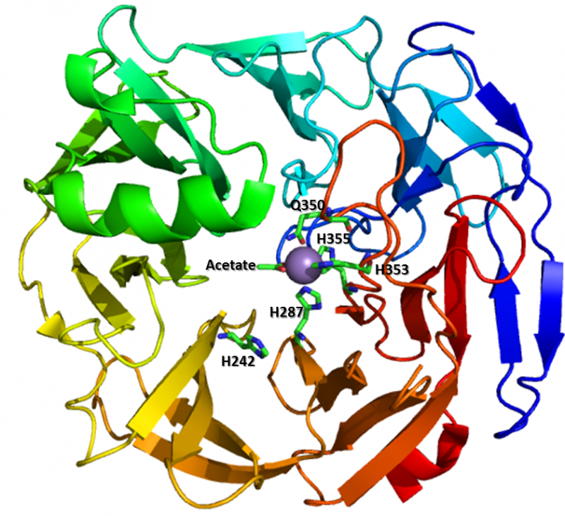 Polysaccharide Lyase Family 22 - CAZypedia