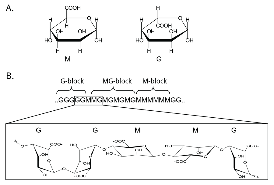 Polysaccharide epimerases - CAZypedia