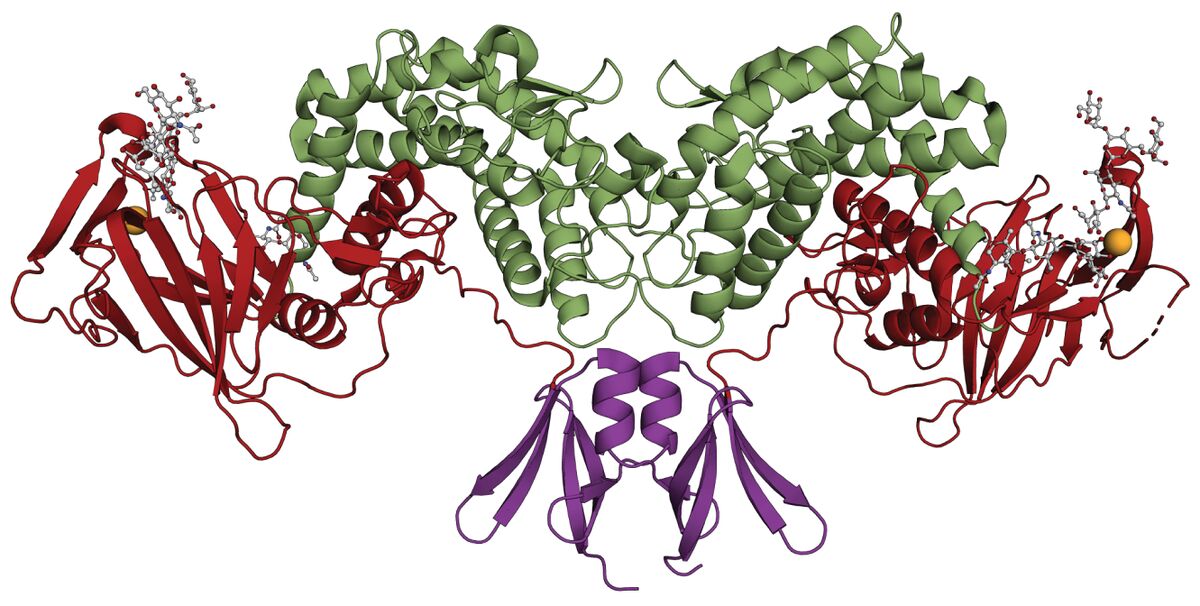 Polysaccharide epimerases - CAZypedia