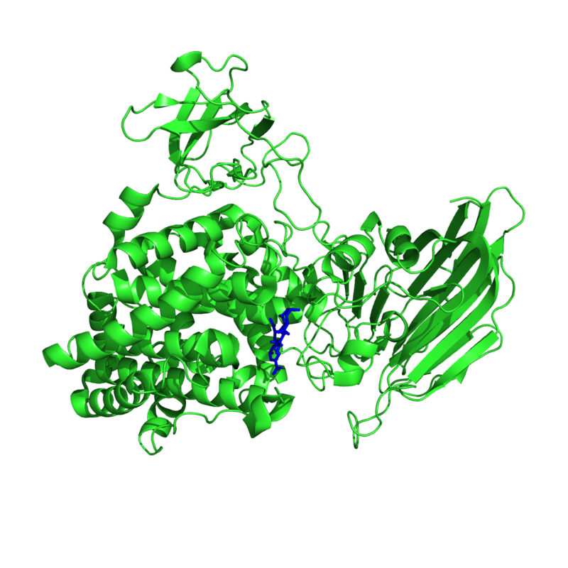 Polysaccharide Lyase Family 15 - CAZypedia